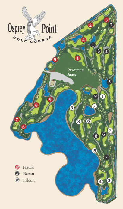Course Layout